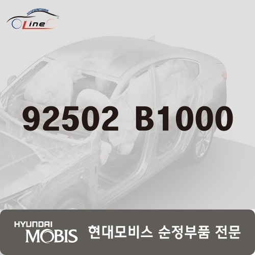 대성라인 자동차부품 현대기아 전문쇼핑몰