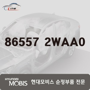 현대모비스 부품몰 (주)부천대성