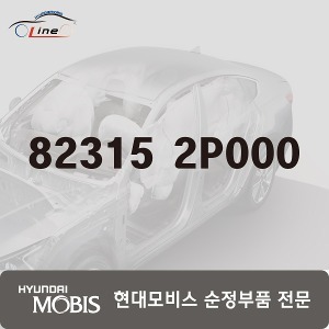 현대모비스 부품몰 (주)부천대성