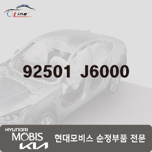 현대모비스 부품몰 (주)부천대성