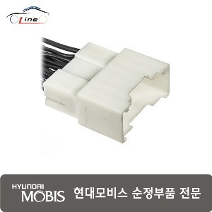 현대모비스 부품몰 (주)부천대성