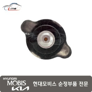 현대기아 부품몰 현대모비스라인 부천대성