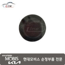 대성라인 자동차부품 현대기아 전문쇼핑몰
