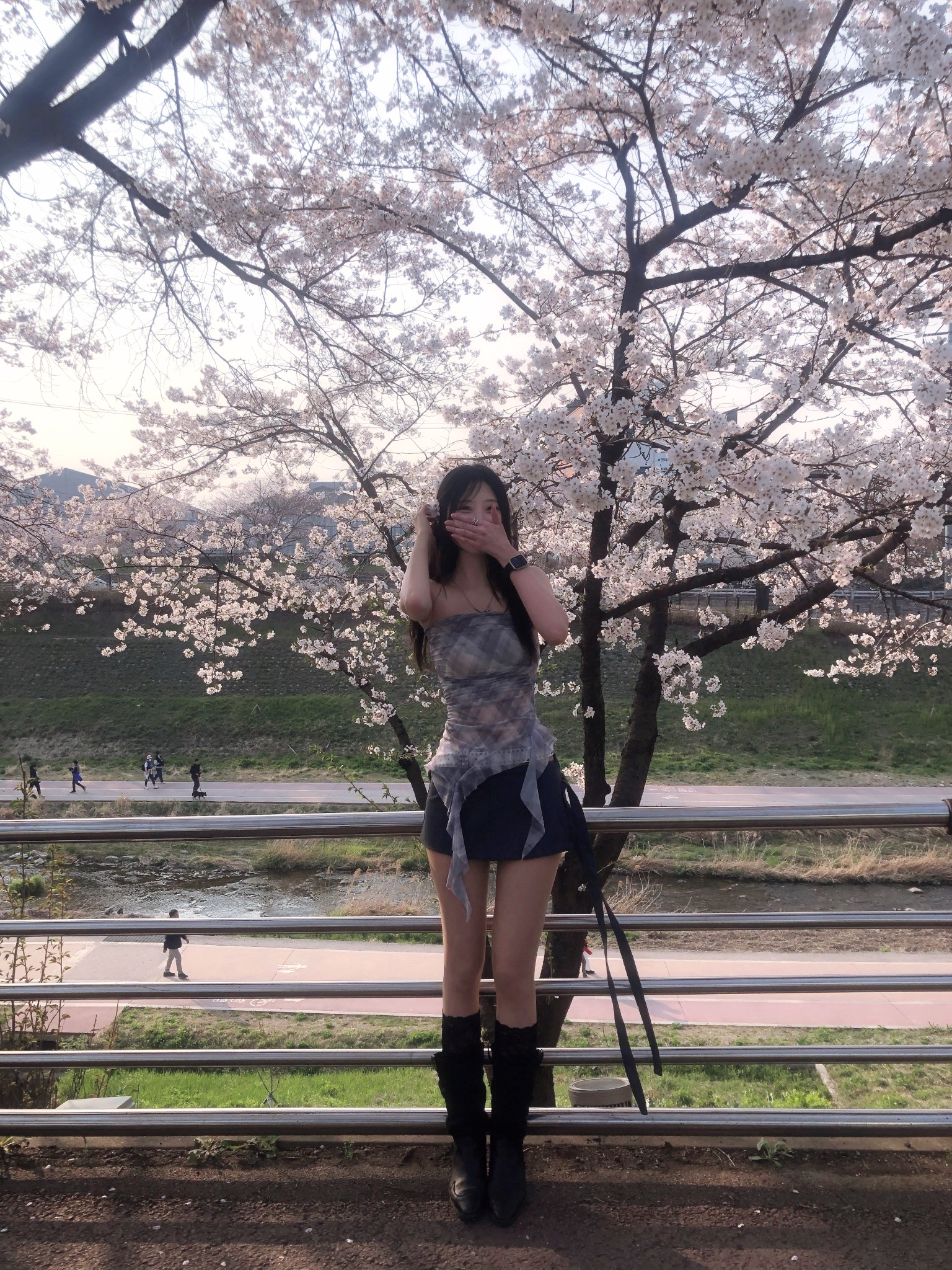 Sheer Check Frill Top(3 color)