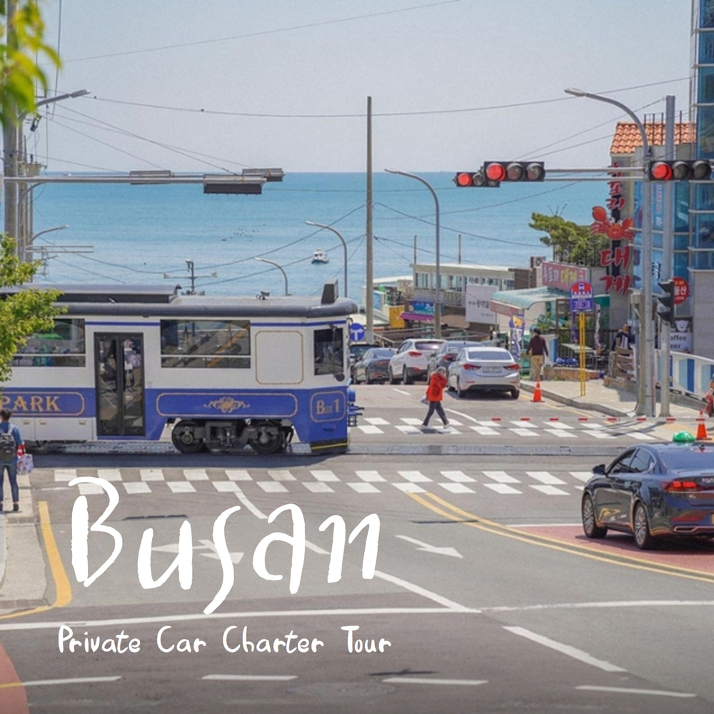 Busan Private Car Charter Tour - K ONE TOUR