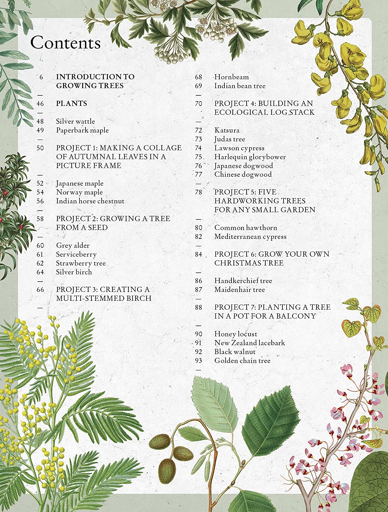 The Kew Gardener's Guide to Growing Trees - GREENMOOR