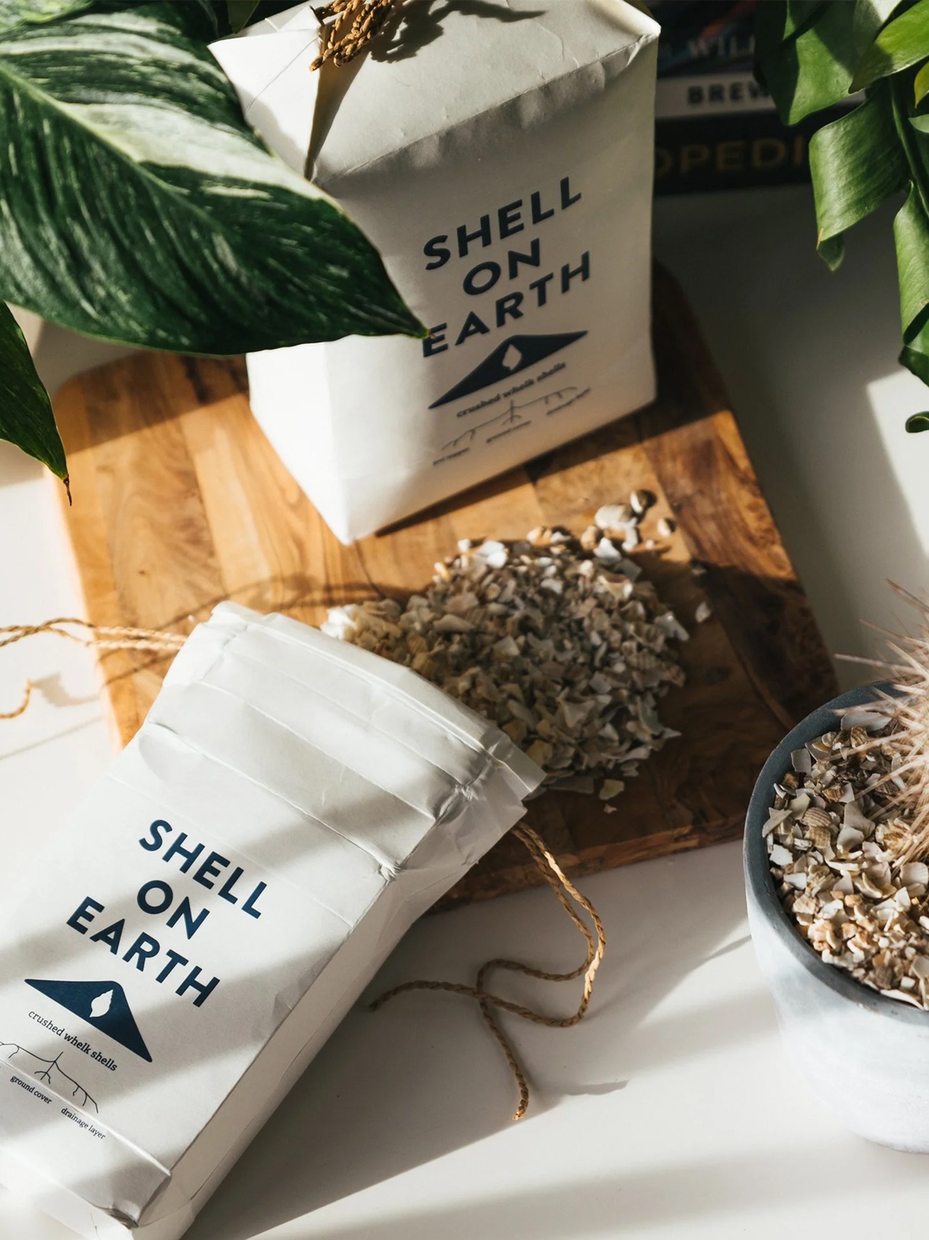 SHELL ON EARTH - GREENMOOR