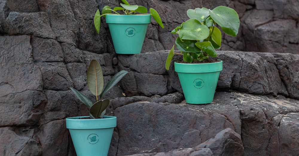 OCEAN PLASTIC POTS - GREENMOOR