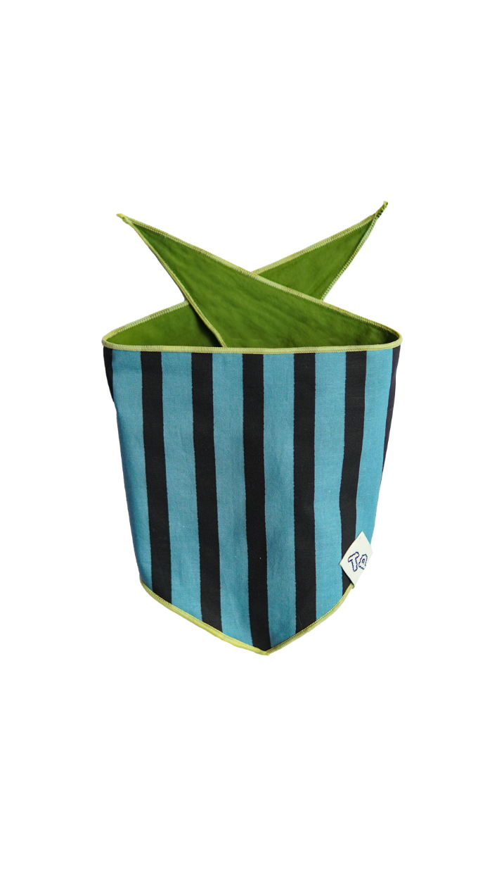 TP painting scarf(STRIPE) | Tail Palette