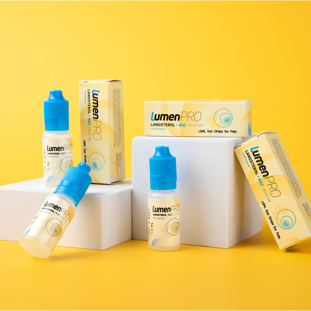 엄마 이제 잘 보여요 : 루멘프로