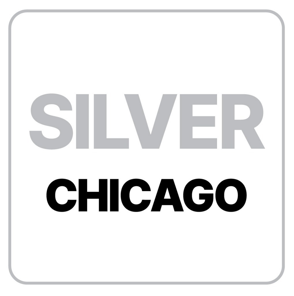 [SILVER | CHICAGO] 2025 VANNER U.S FANSIGN TOUR - ARAISE (어레이즈)