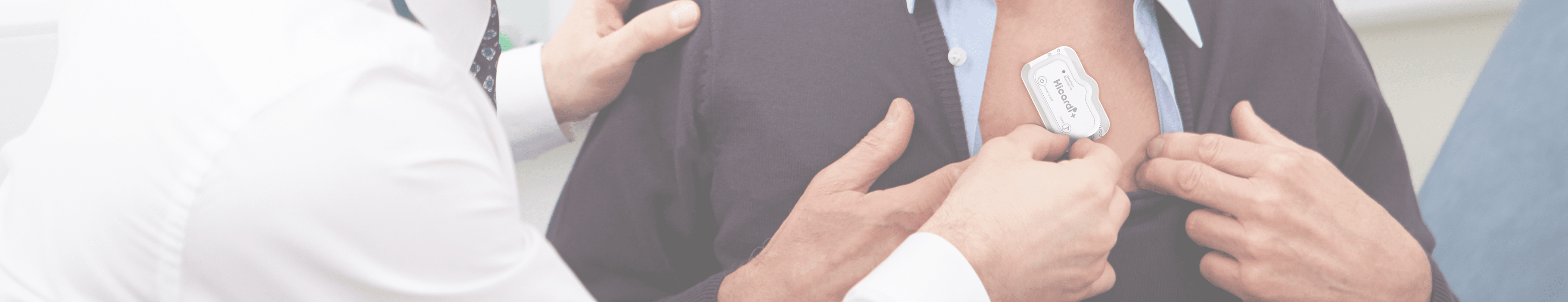 하이카디 - 하이카디 - 하이카디몰