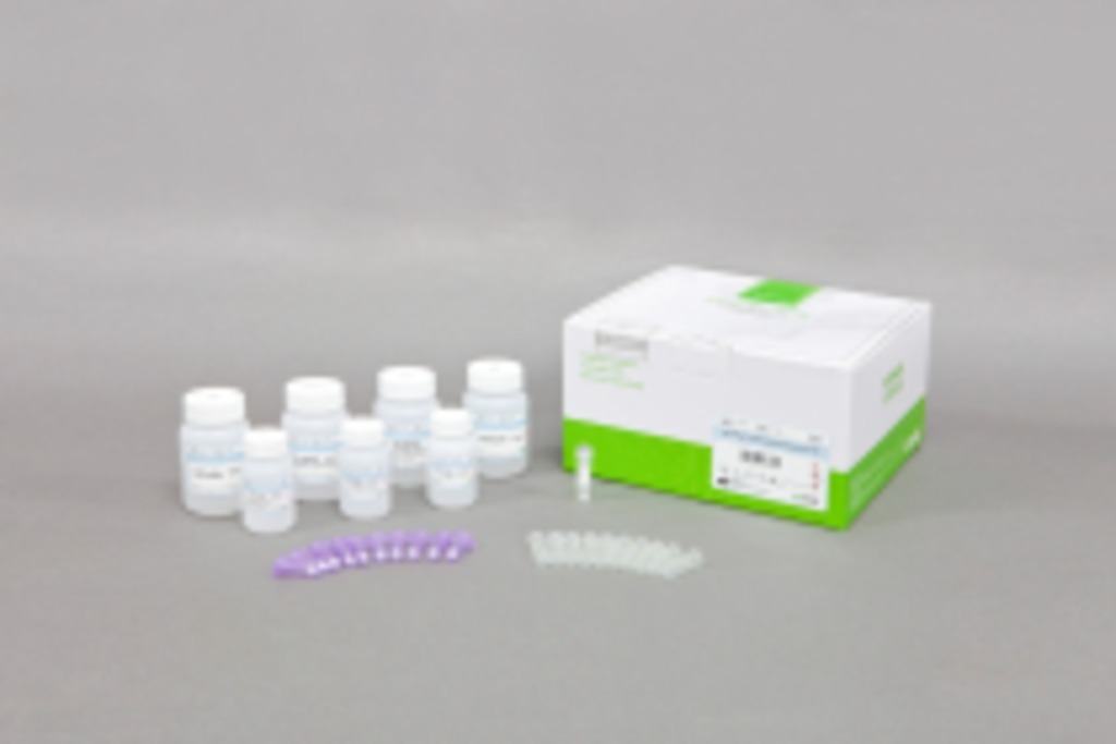 AccuPrep® Plasmid Mini Extraction Kit - 노보텍(NOVO TECH)