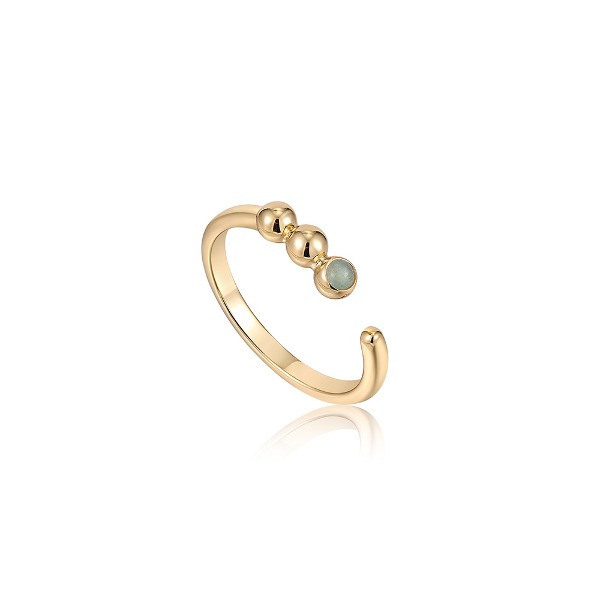 아니아 하이에 ANIA HAIE