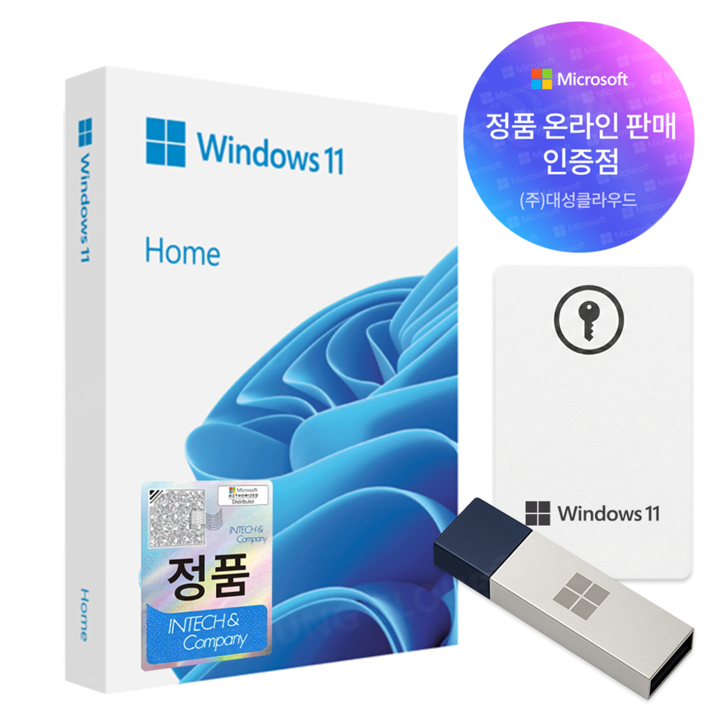 Microsoft Windows 11 Home (FPP/USB)