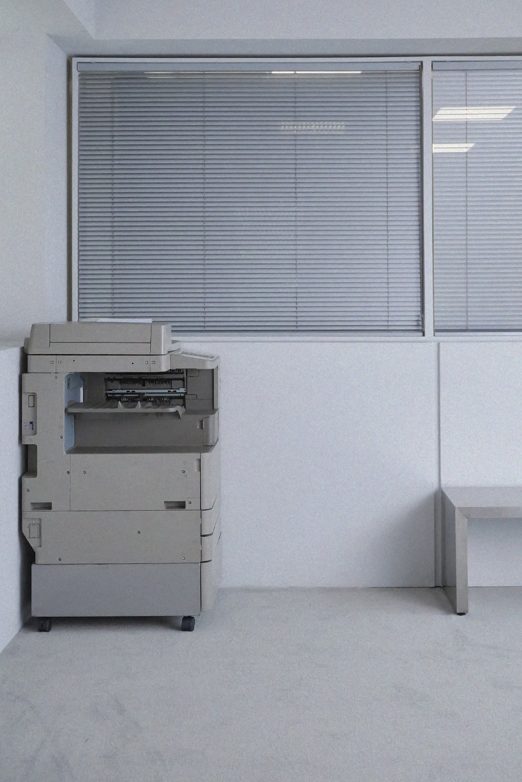 24 FALL : Chapter 1 - The any