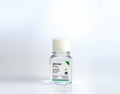 RNase free Water (DEPC treated Water) | Universal Bio Korea