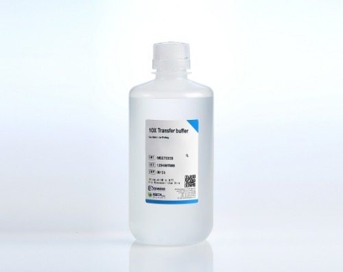 Transfer Buffer, 10X - Universal Bio Korea