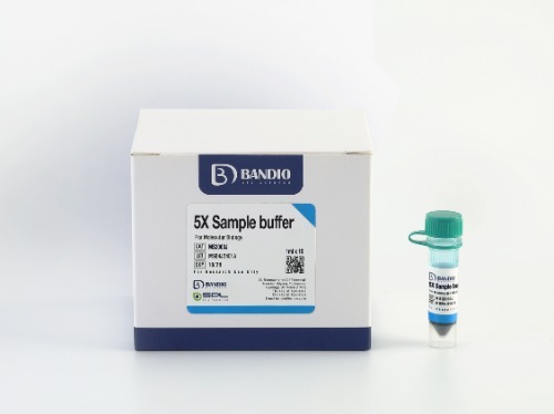 5X Sample buffer (DTT) | Universal Bio Korea