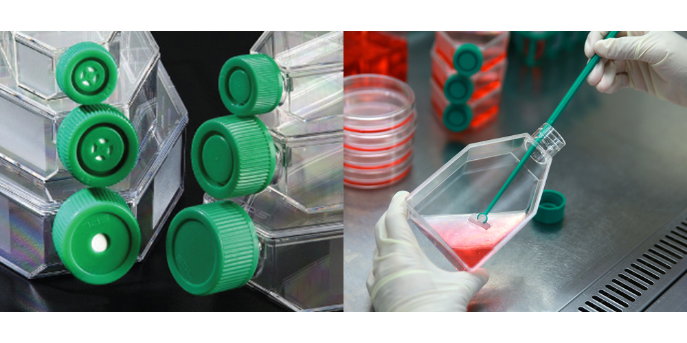 SPL Cell Culture Flask, T12.5, T25, T75, T175, T225 | Universal Bio Korea