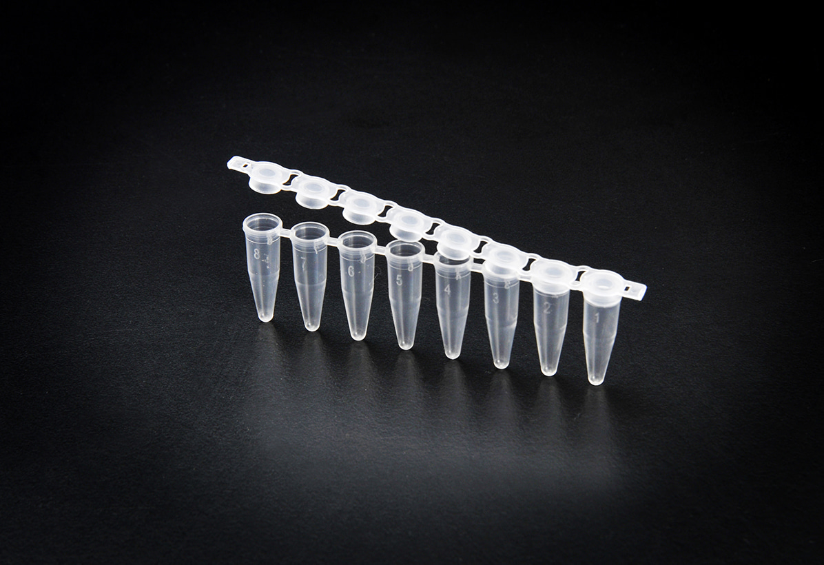 SPL PCR Tube | Universal Bio Korea