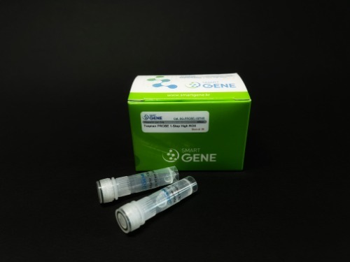 SmartGene Taqman PROBE 1-Step High ROX - 스마트진쇼핑몰