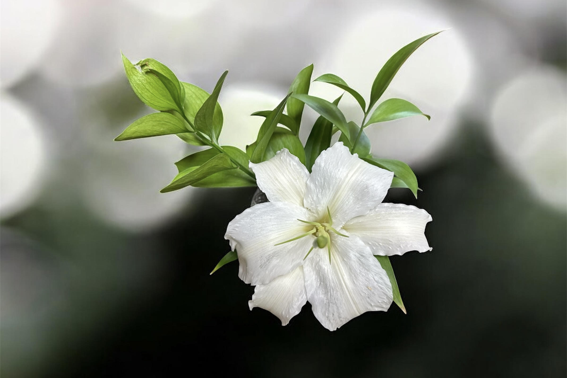 Philosophy JOURNEY | AELILY