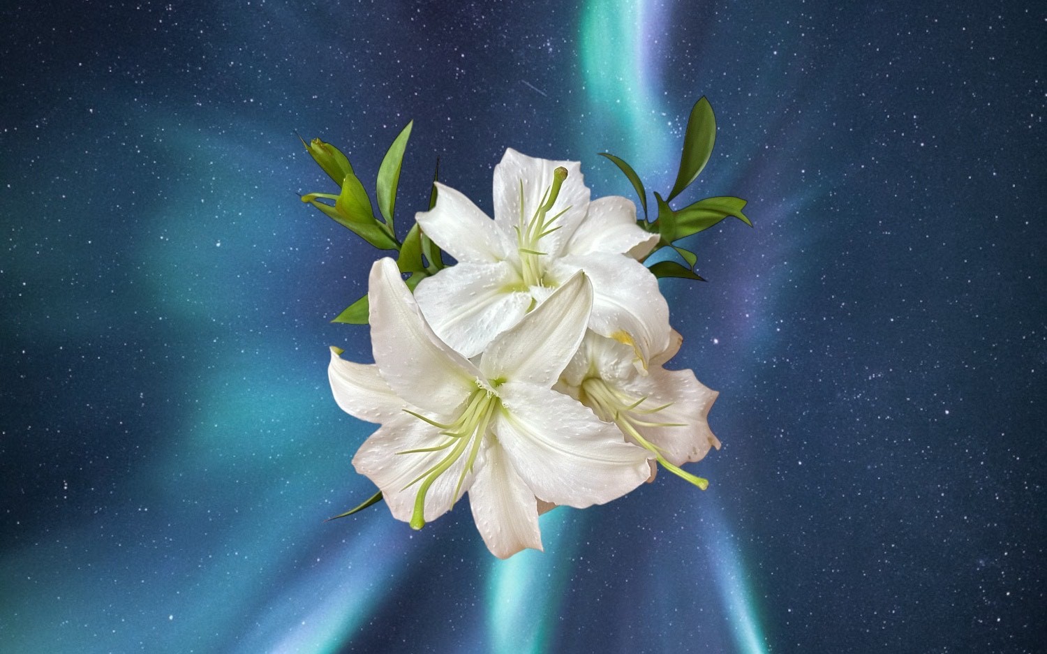 Philosophy JOURNEY | AELILY