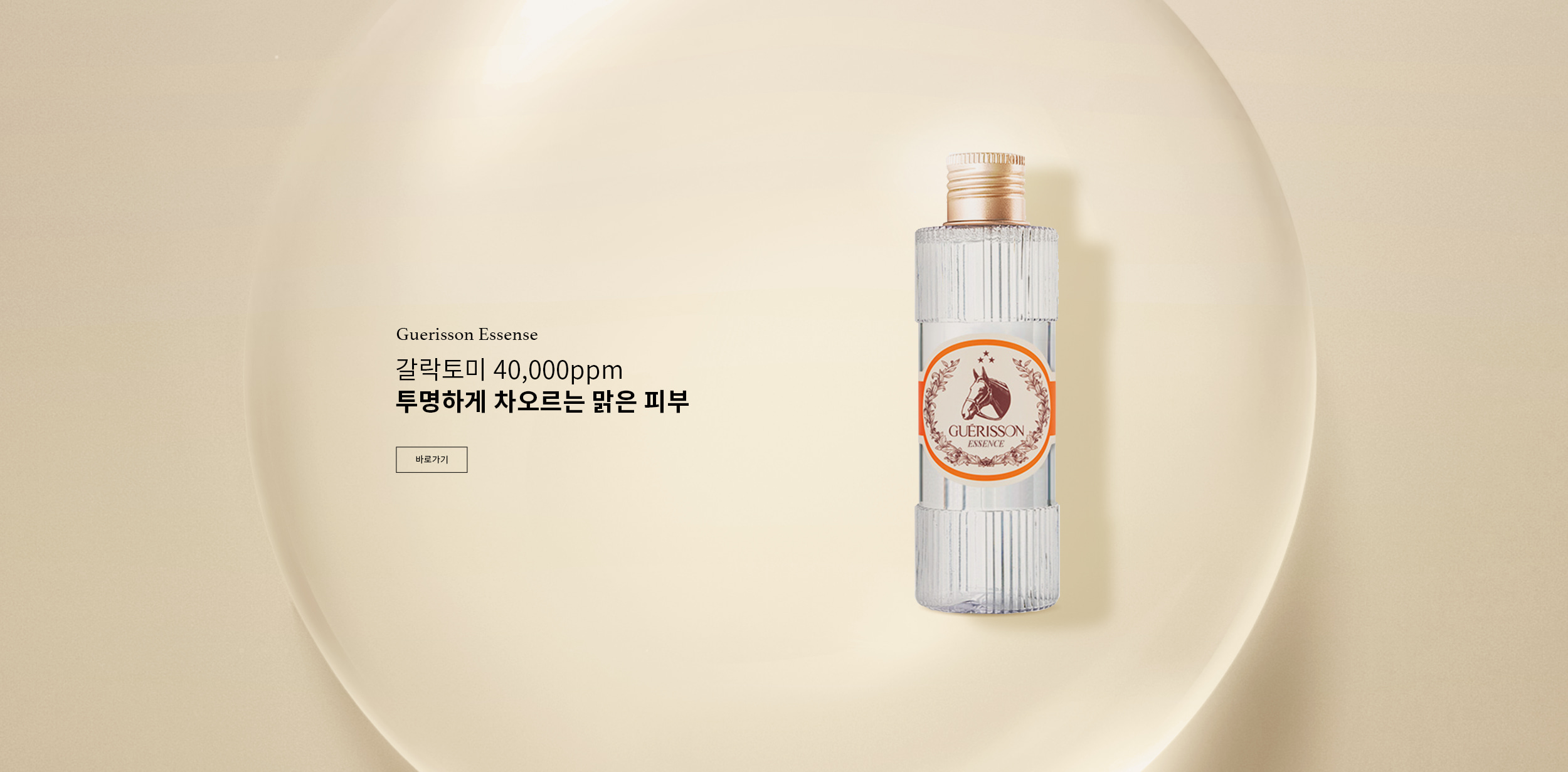게리쏭 Guerisson