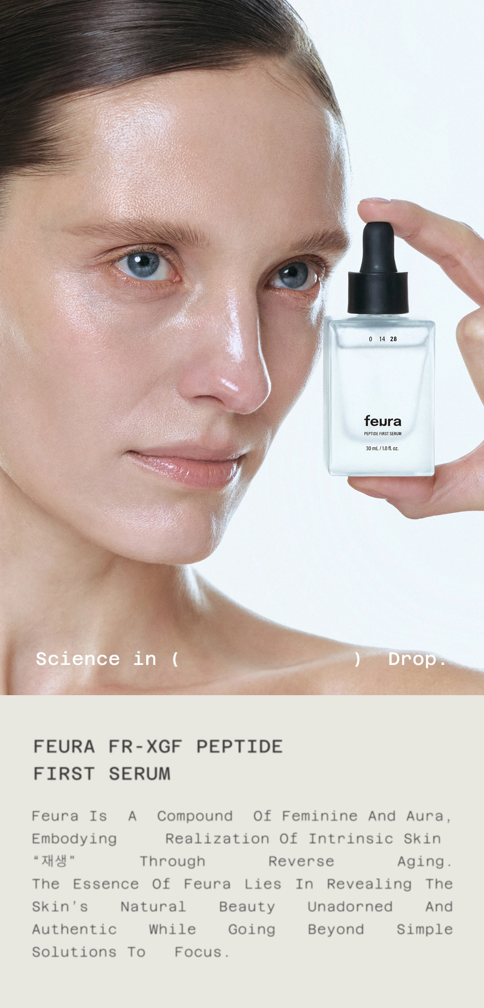 퓌라 feura