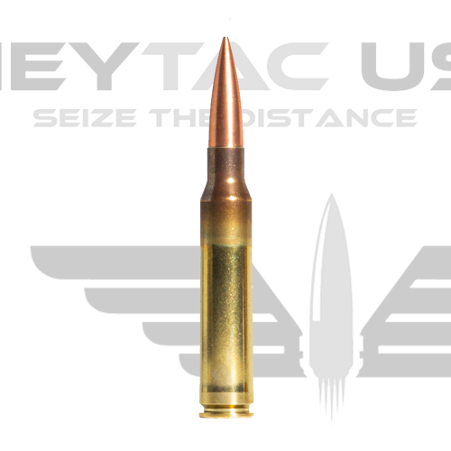 .408 CHEYTAC 비활성 실탄(더미탄) | 강남실탄사격장 지앤피스토어 GNPSTORE