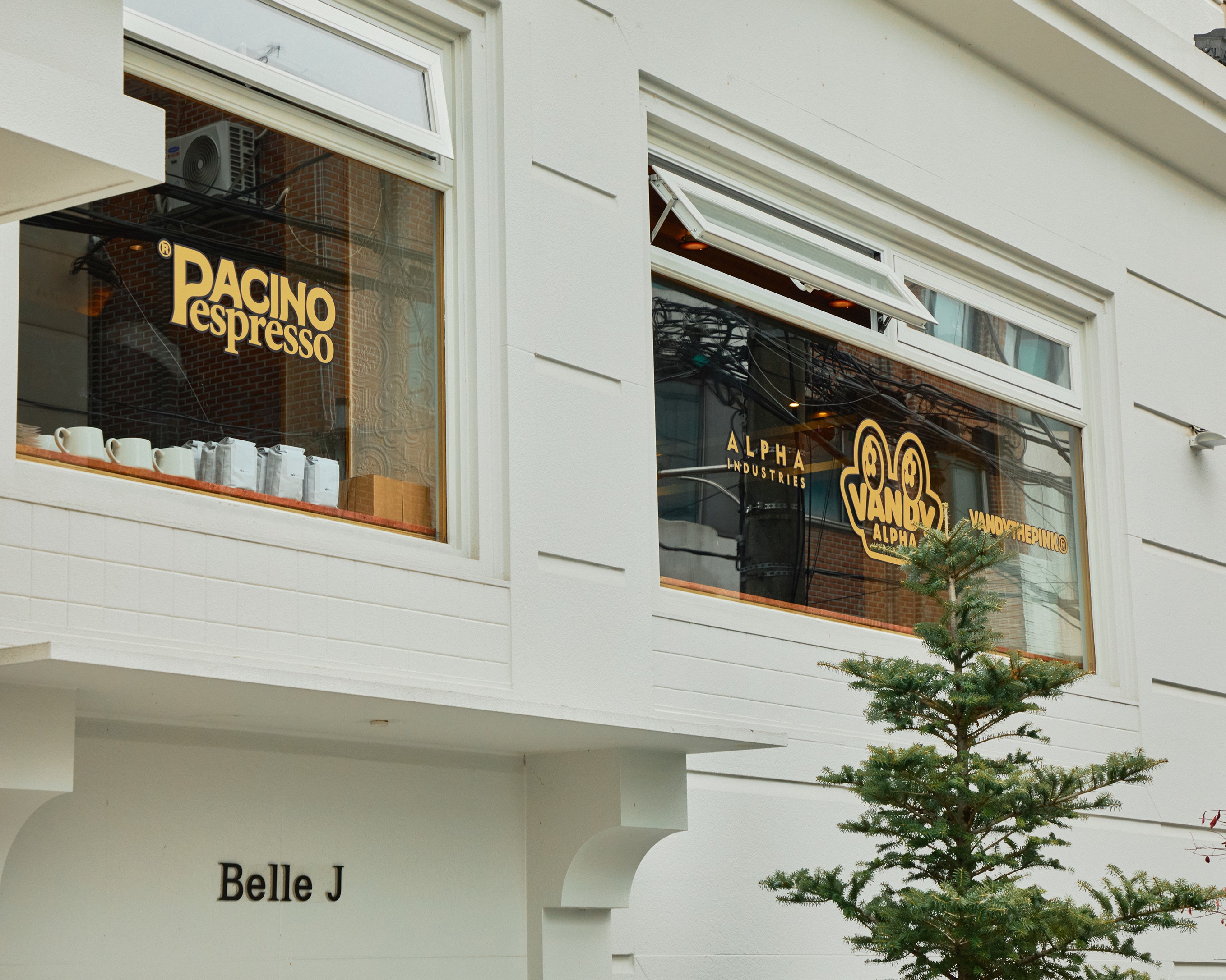 알파 인더스트리 소식 - 전체