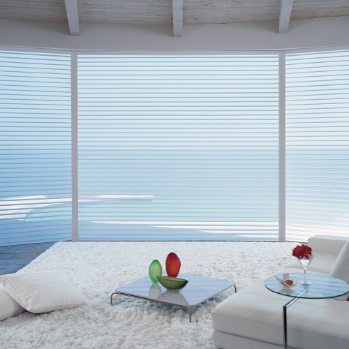 실루엣 / Silhouette Sheer Shade