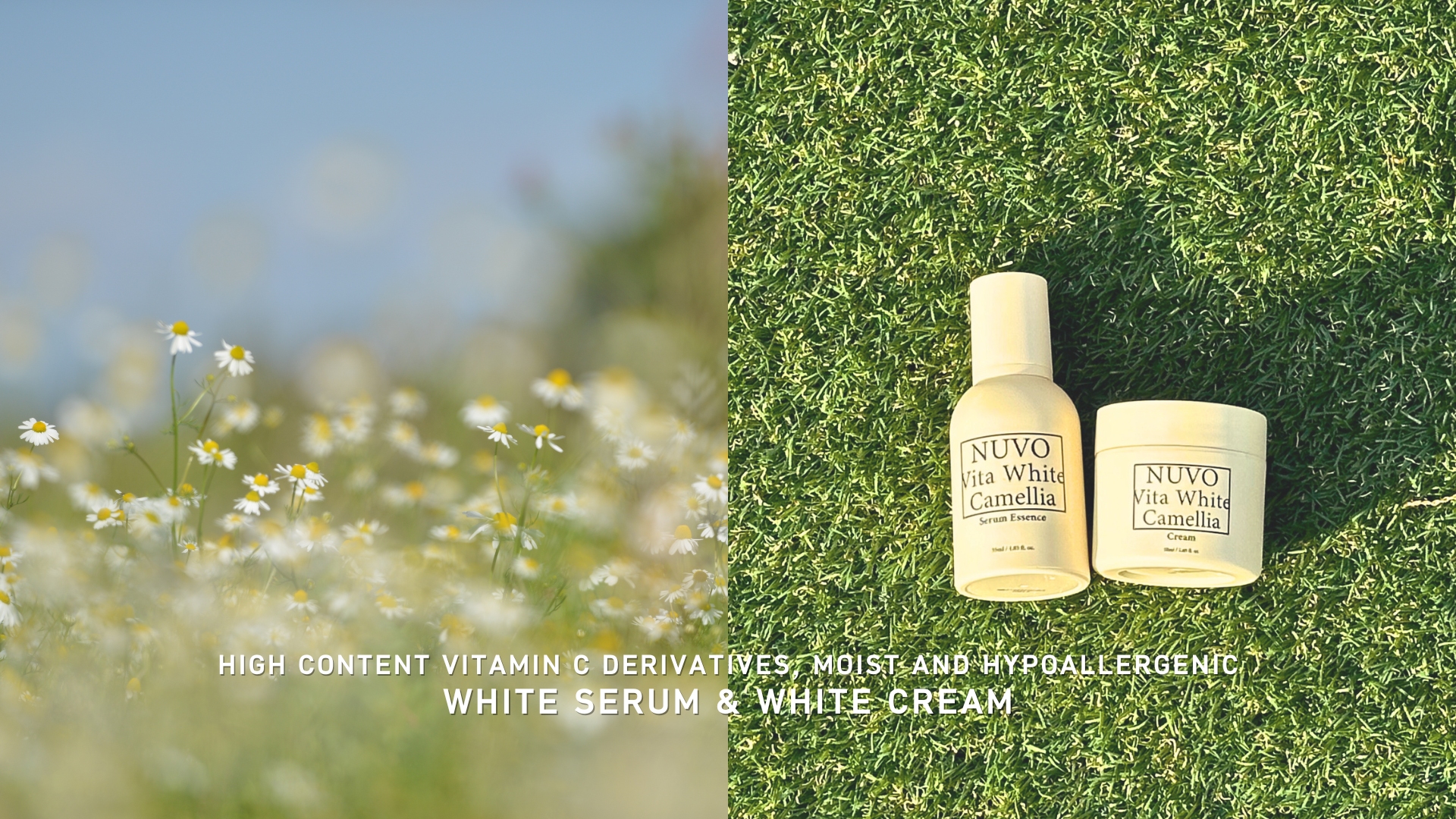 누보 코스메틱 NUVO cosmetics