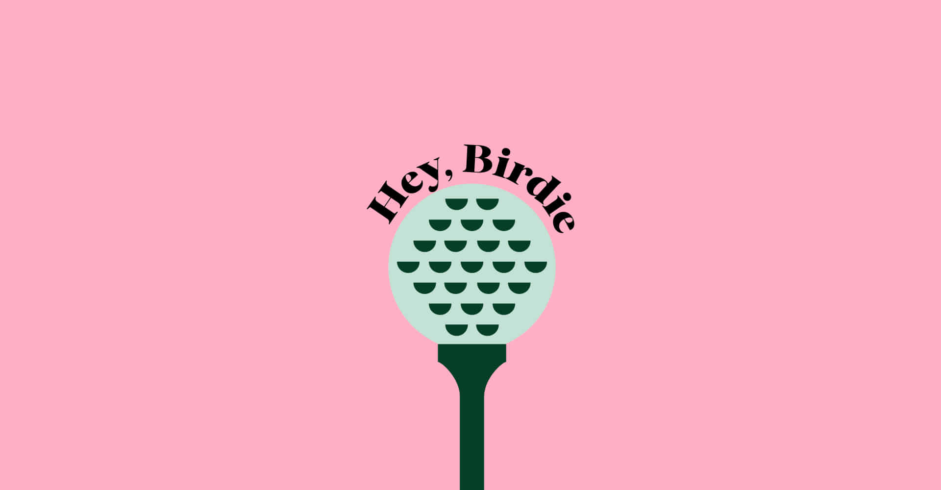 헤이버디 HEY BIRDIE GOLF