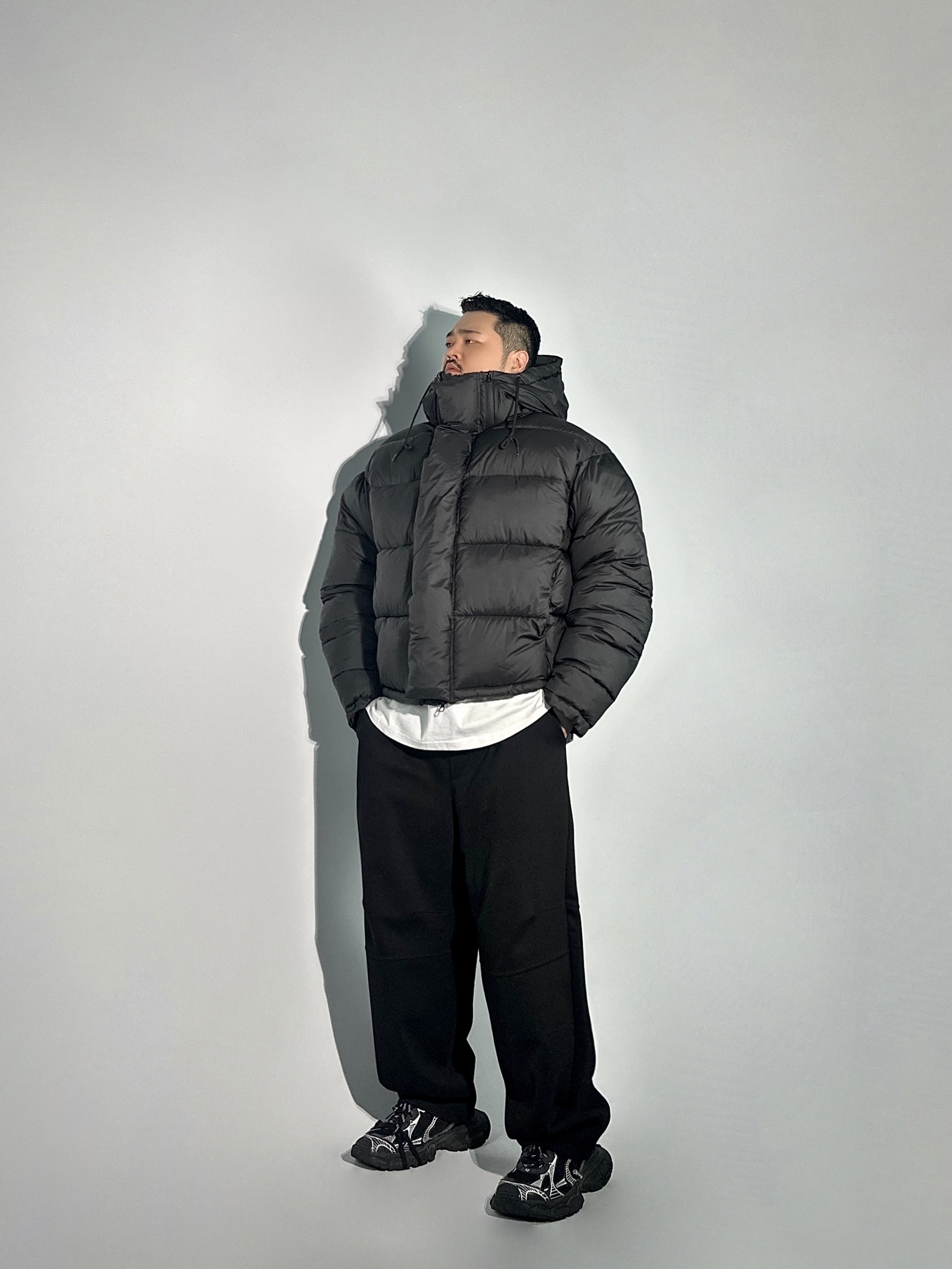 OVER NECK HOOD DOWN WELLON PADDING | 에이오알닷