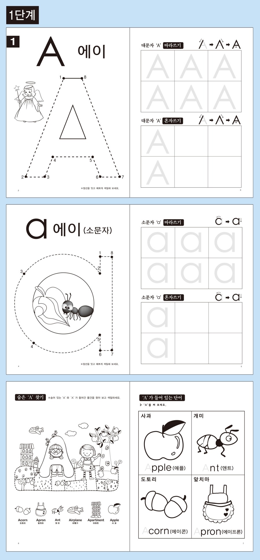 [8040] 알파벳 100일 완성 - 본글림키즈