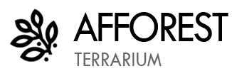테라리움 테라리움키트 afforest terrarium 비바리움 이끼테라리움