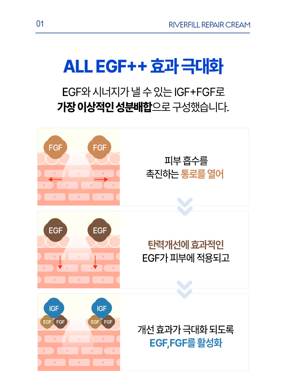 셀29 건주름 리버필 재생 크림
