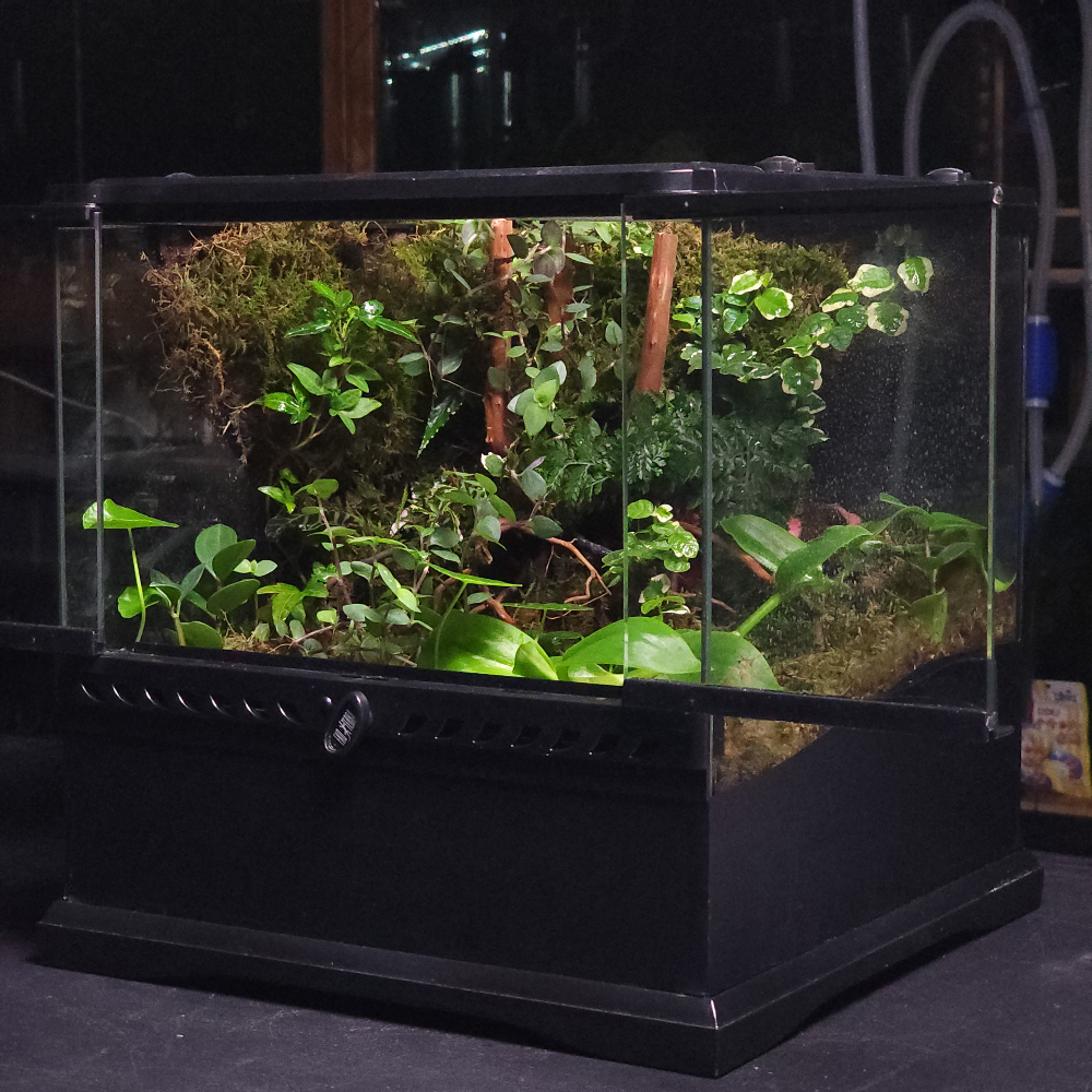 비바리움 VR7890001 | Iraty