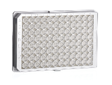 [Greiner Bio-One] CELL CULTURE 96WELL PLATE, WHITE, 화이트 세포 배양 플레이트 | 한독 ...