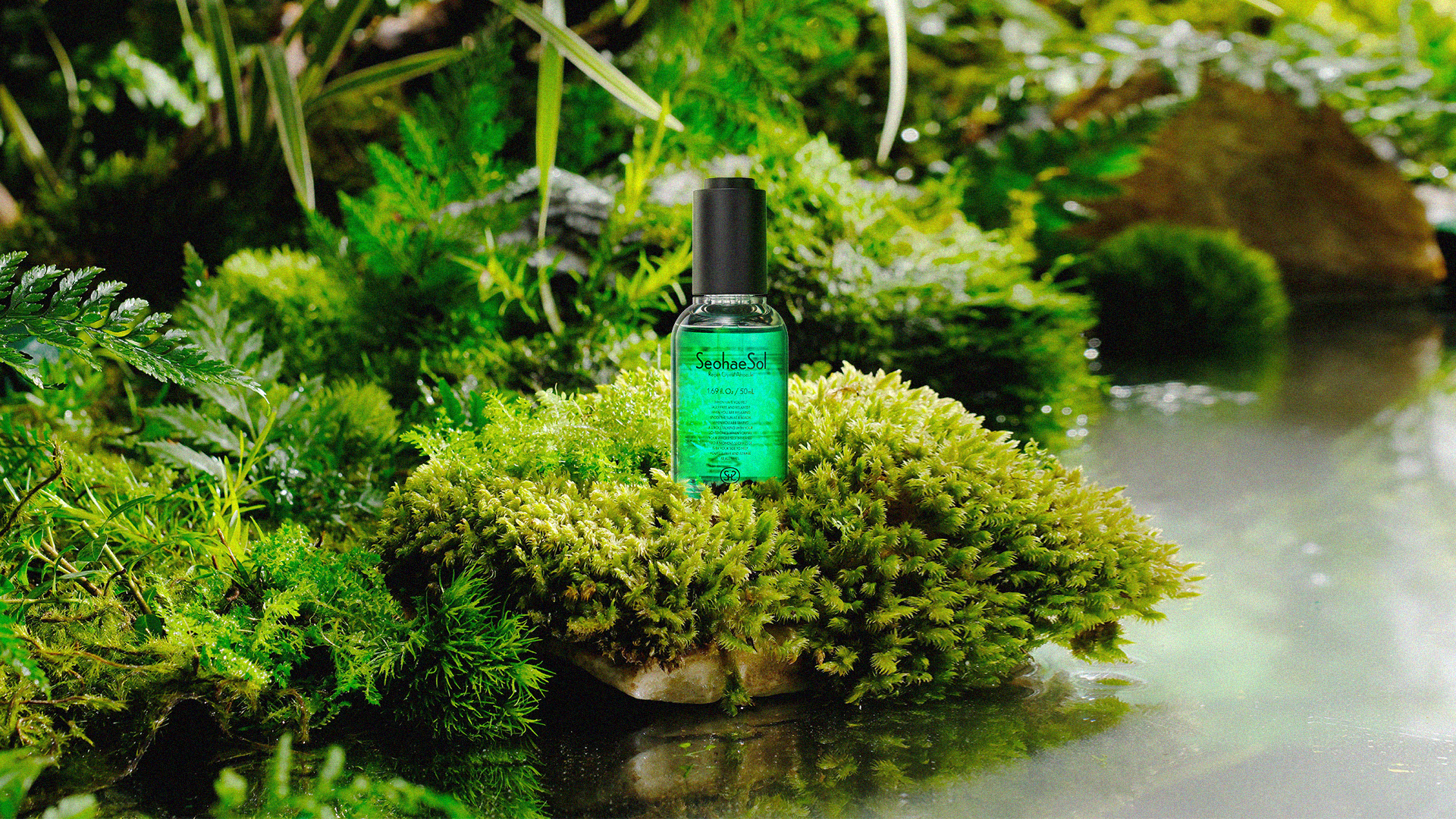 서해솔 | Seo Hae Sol