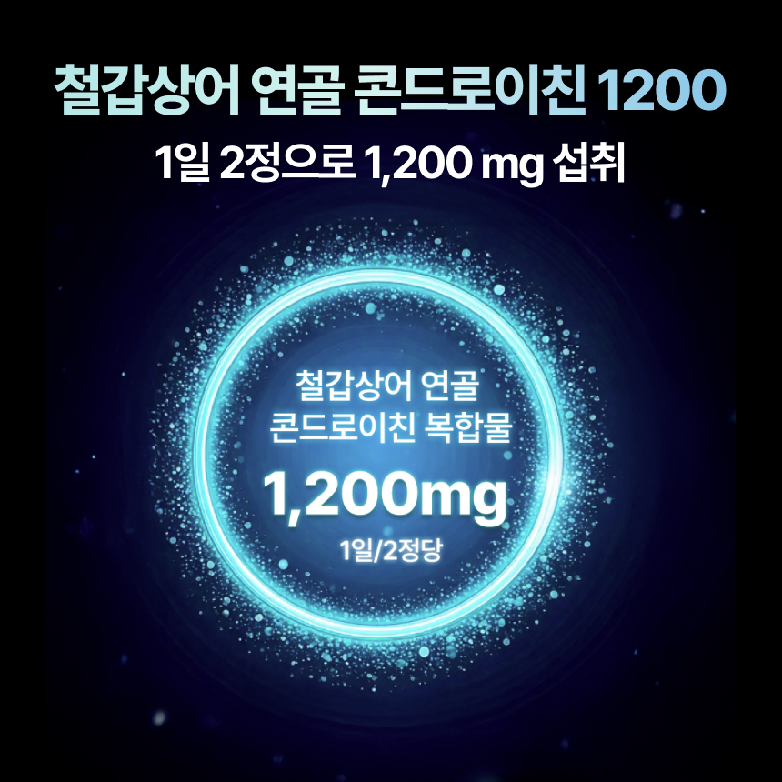 뉴트리케이 뮤코다당단백 철갑상어 연골 콘드로이친 1200 MBP + D3