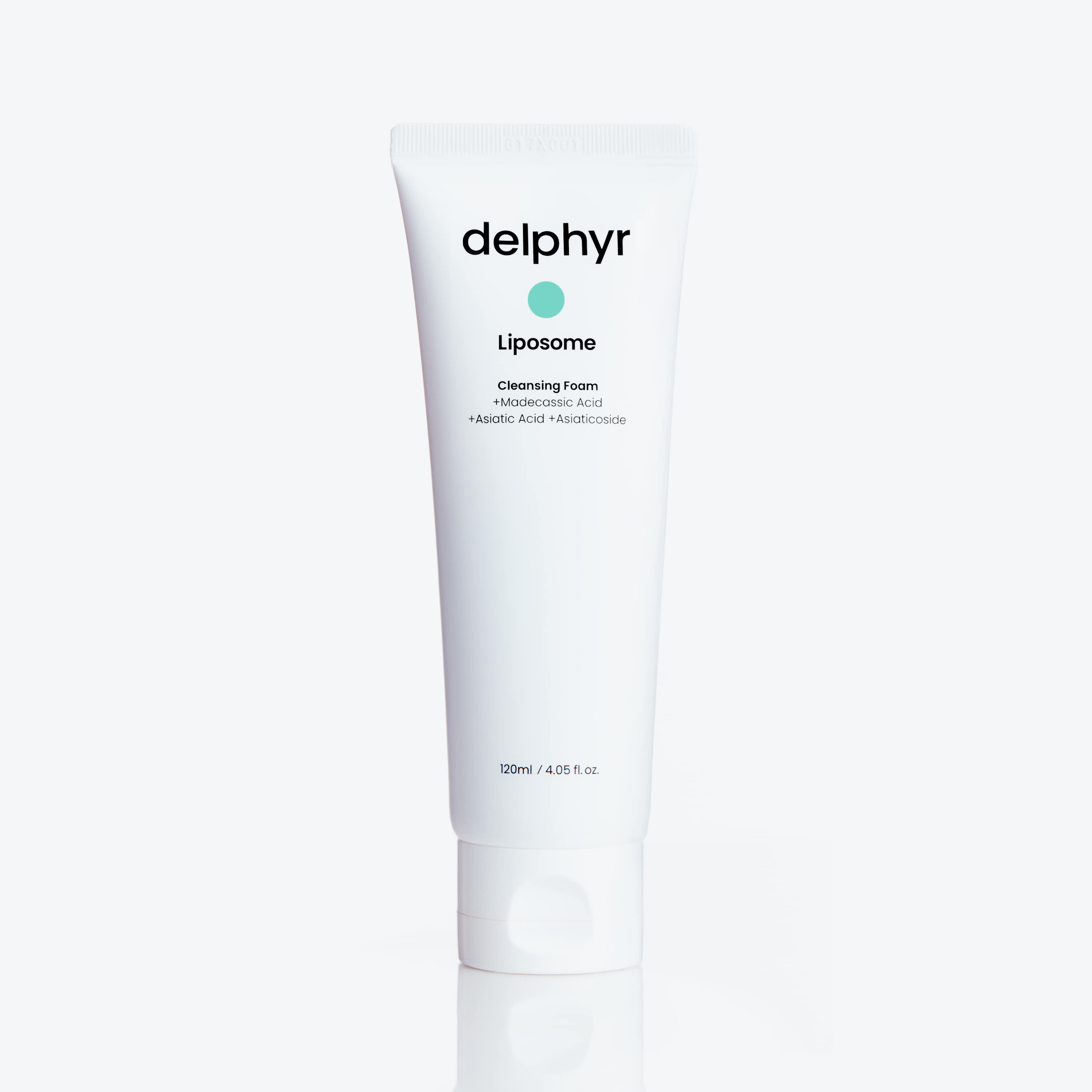델피어 delphyr