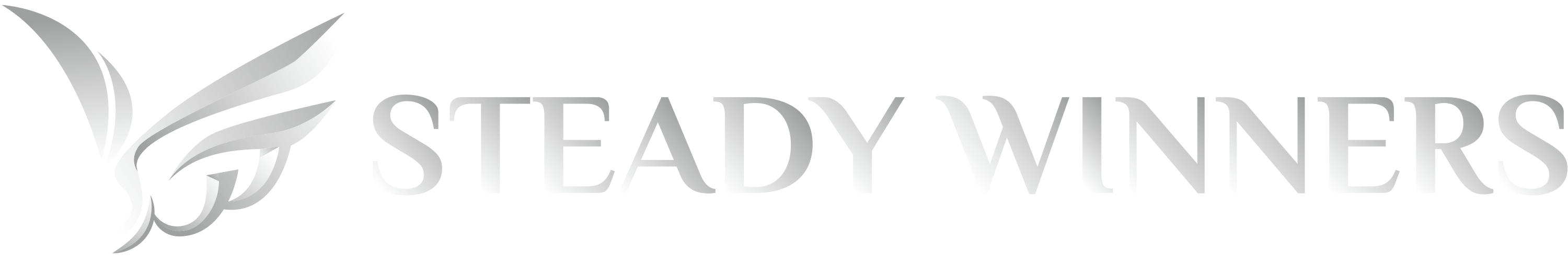 STEADY WINNERS 스테디위너스
